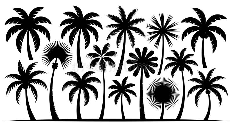 Silhouette Illustration of Various Types of Palm Trees Stock ...