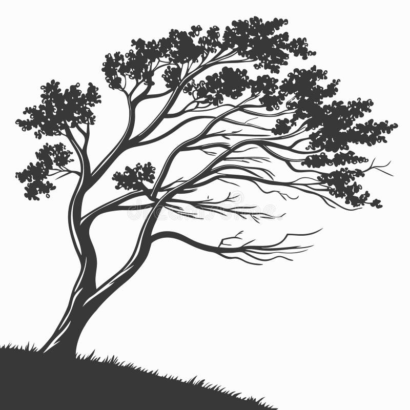 Silhouette Illustration of a Wind-swept Tree with Branches and Leaves ...