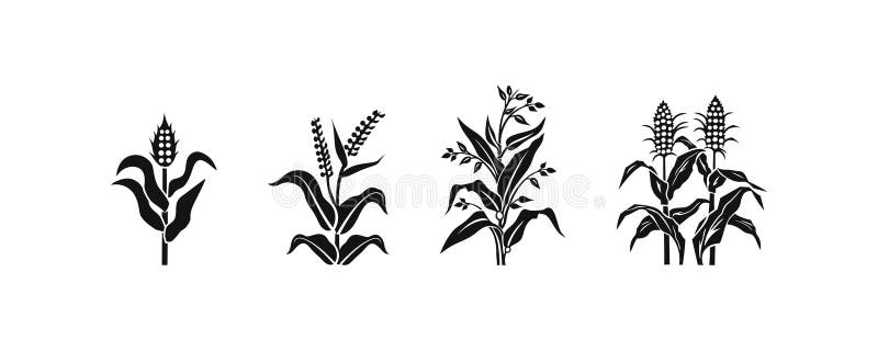 Silhouette Illustrations of Various Crop Plants. Vector Illustration ...