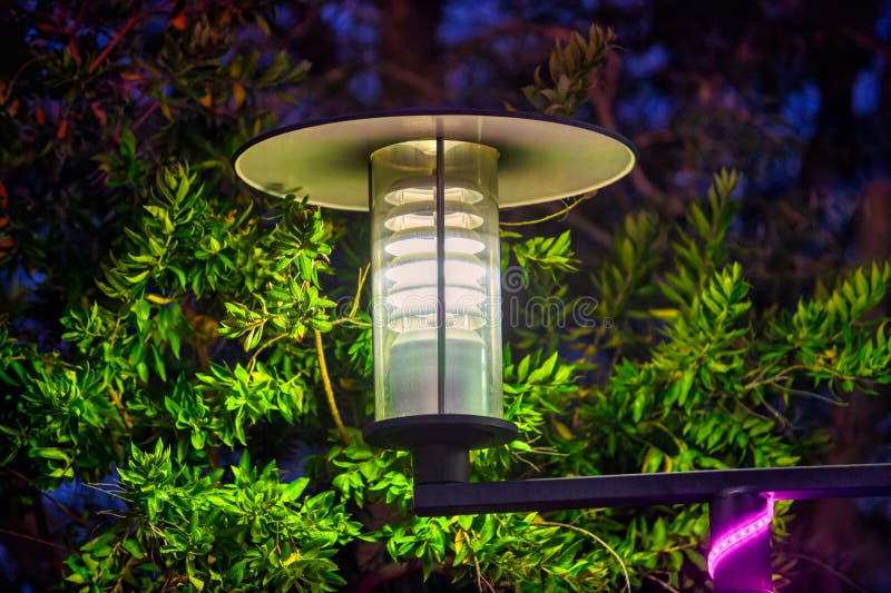 Silhouette Lamp Post at Dusk, Night Sky, Modern Look, Led Wrap Violet ...