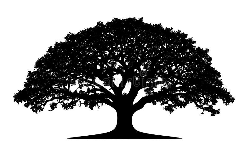Silhouette of a Large Oak Tree with Detailed Branches and Leaves. Stock ...