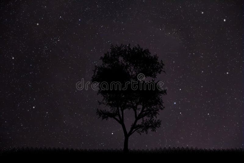 Silhouette of a Large Tree with Branches Stock Photo - Image of ...