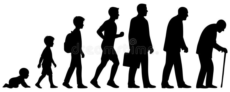 Silhouette of Life Cycle of Man Illustration Stock Vector ...