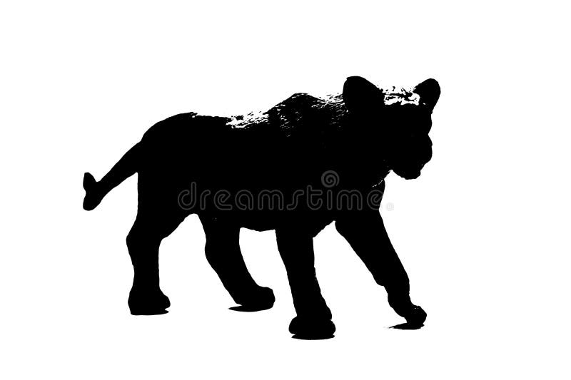 Silhouette Lioness Model Stand White Background Stock Photos - Free ...