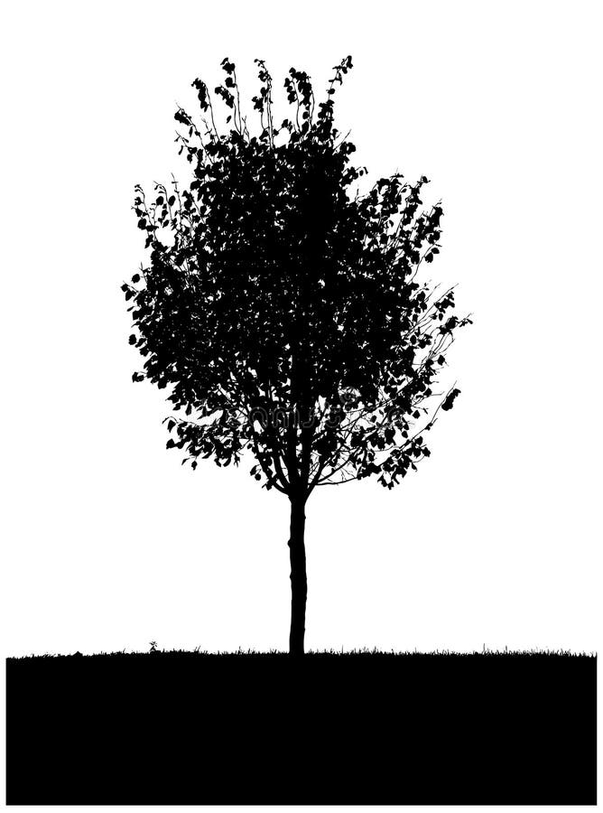 Silhouette of a lone tree stock illustration. Illustration of ...