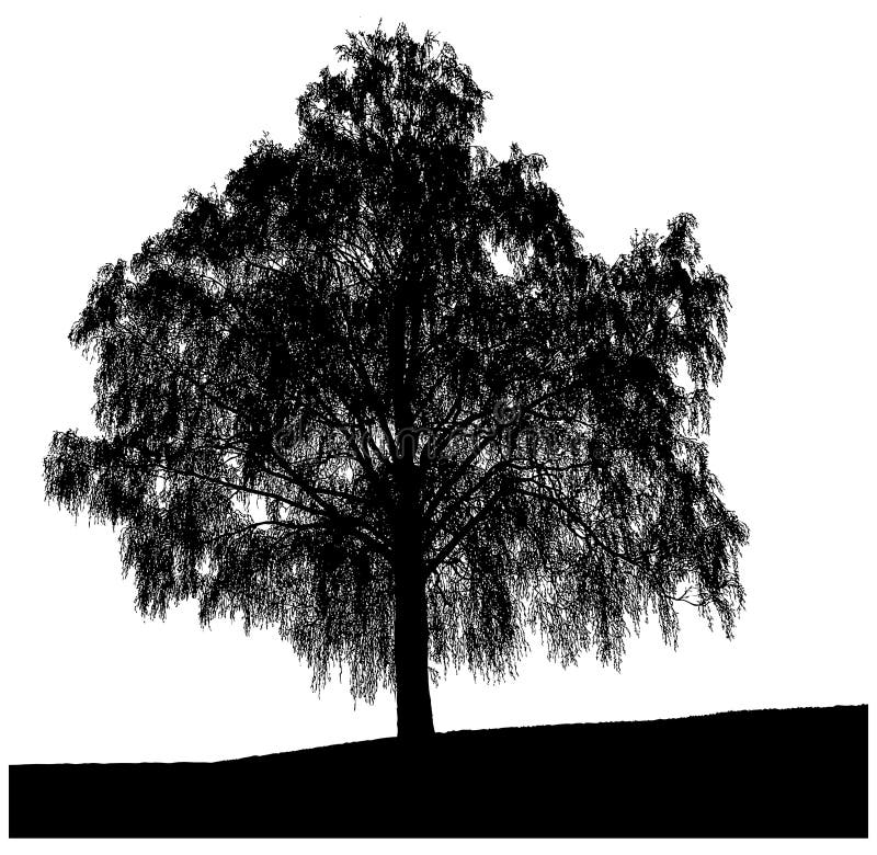 Silhouette of a lone tree stock illustration. Illustration of element ...