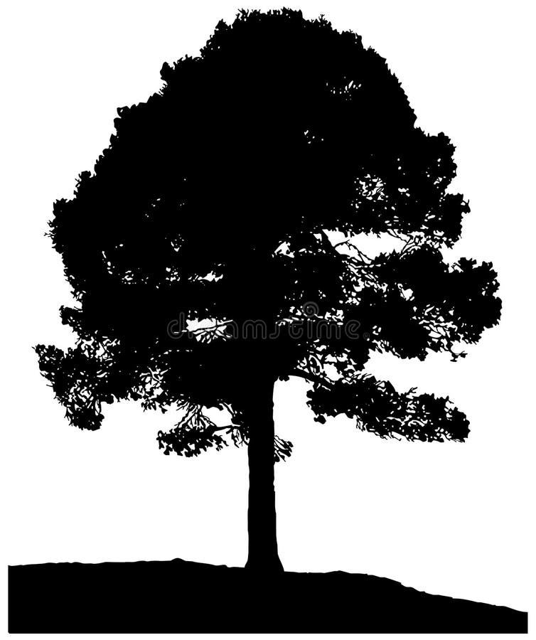Silhouette of a lone tree stock vector. Illustration of background ...