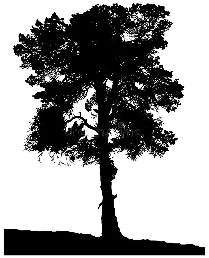 Lonely Pine on the Mountains Background with Flying Birds Stock Vector ...