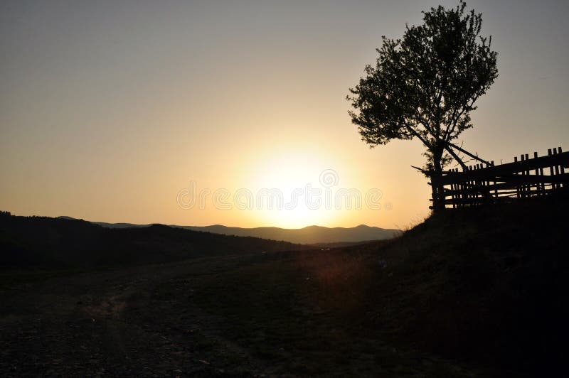 Silhouette of a Lonely Tree at Sunset in the Mountains Stock Photo ...