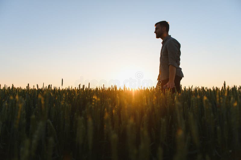 Silhouette of Man Looking at Beautiful Landscape in a Field at Sunset ...