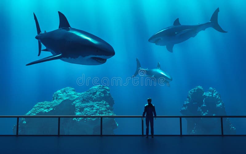 Silhouette of a Man Looking at Fish Stock Illustration - Illustration ...