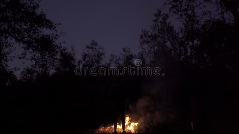 Man Facing the Fire in the Forest at Night Stock Footage - Video of ...