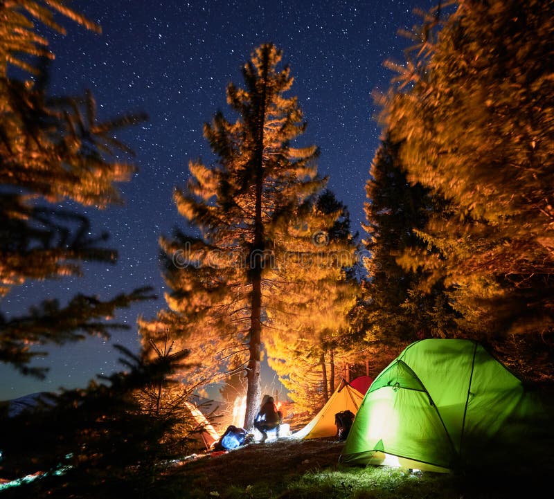 Night Camping Under Starry Sky among the Trees. Stock Image - Image of ...