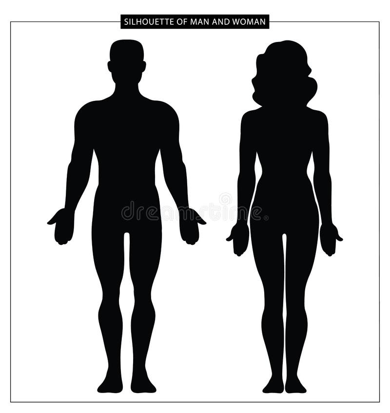 Illustration Of Male And Female Body Stock Vector Illustration Of