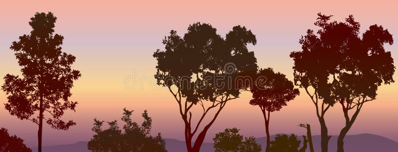 Silhouette of Many Trees with Sunset Background Stock Vector ...