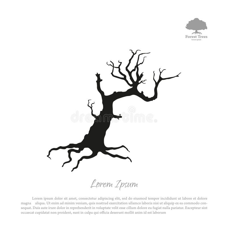 Silhouette of the Old Broken Tree on a White Background. Black D Stock ...