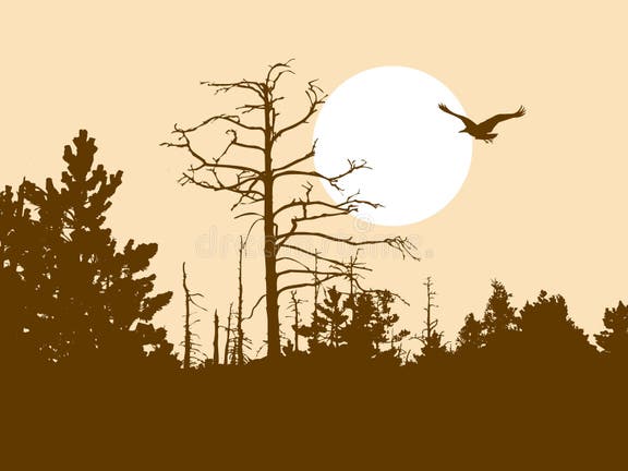 Wood Sign Silhouette Stock Illustrations – 71,283 Wood Sign Silhouette ...