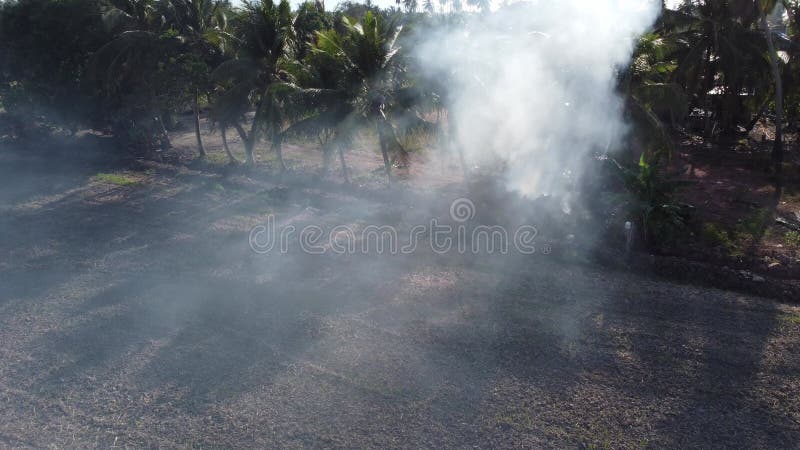 A Silhouette by an Open Door in a Dimly Lit Hallway Gives a Mysterious ...