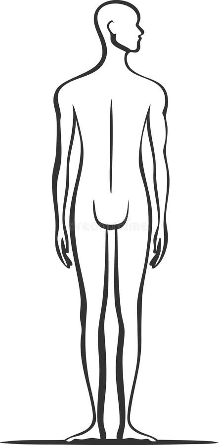 Silhouette Outline of a Male Human Figure from the Back View. Stock ...