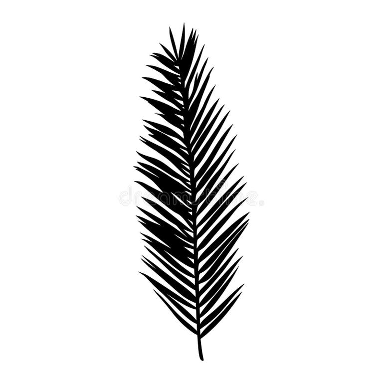 Palm Leaf Black Vector Silhouette Stock Illustrations – 17,834 Palm ... Palm Leaf Black Vector Silhouette Stock Illustrations – 17,834 Palm ...