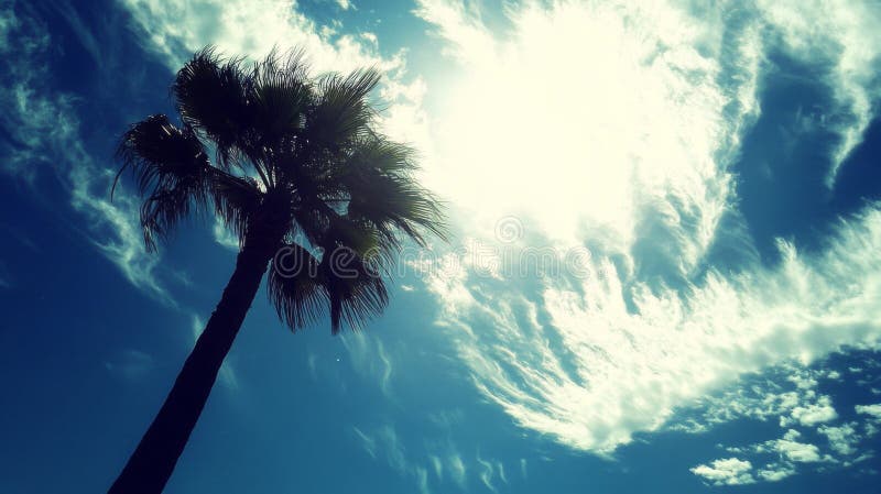 Silhouette of Palm Tree Against Bright Blue Sky and Fluffy White Clouds ...