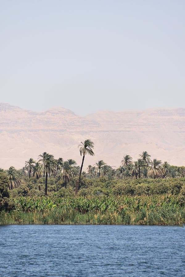 The Nile in Aswan, Egypt stock photo. Image of plain - 272800924