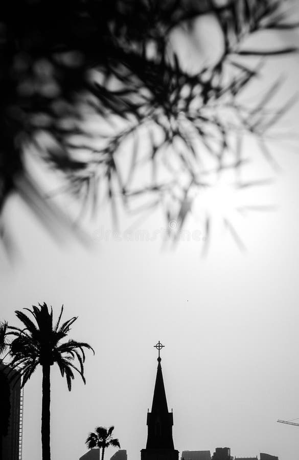 Silhouette of Palm Tree and Church Stock Photo - Image of green, church ...