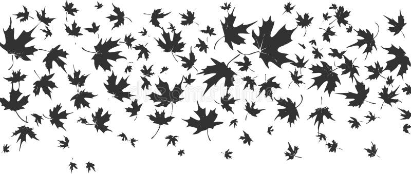 Silhouette Pattern of Falling Maple Leaves in Black and White. Stock ...