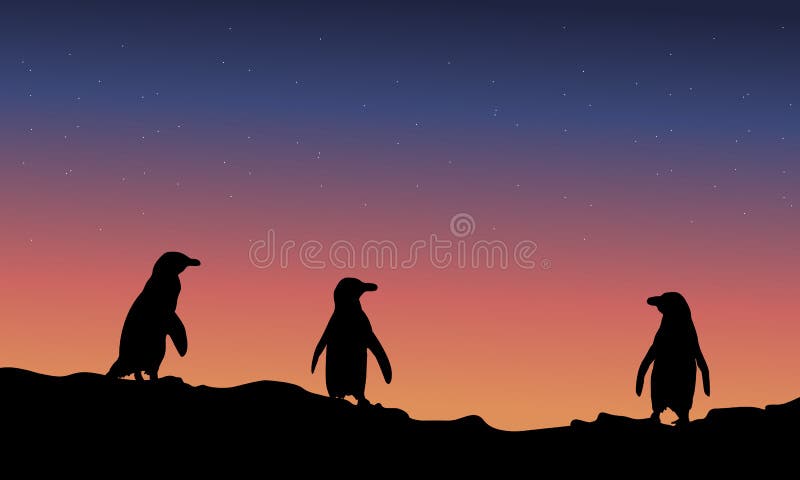 Silhouette of Penguin at Night Landscape Stock Vector - Illustration of ...