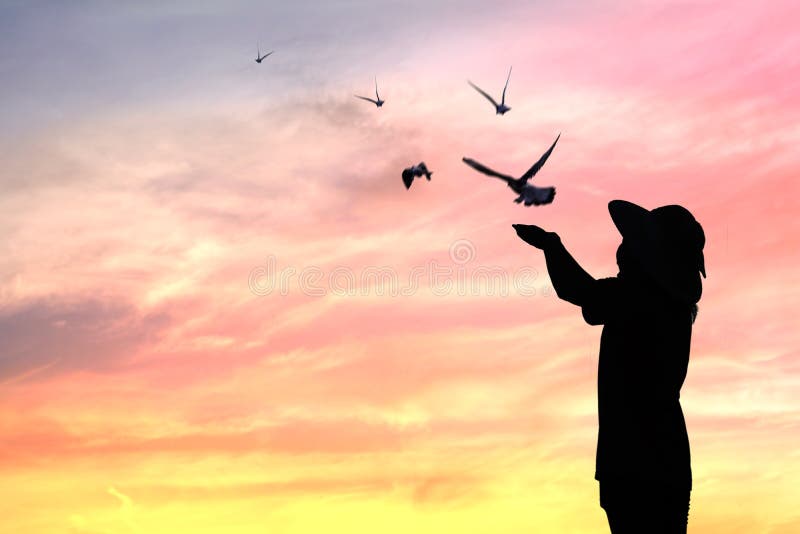 93,368 Freedom Birds Stock Photos - Free & Royalty-Free Stock Photos ...