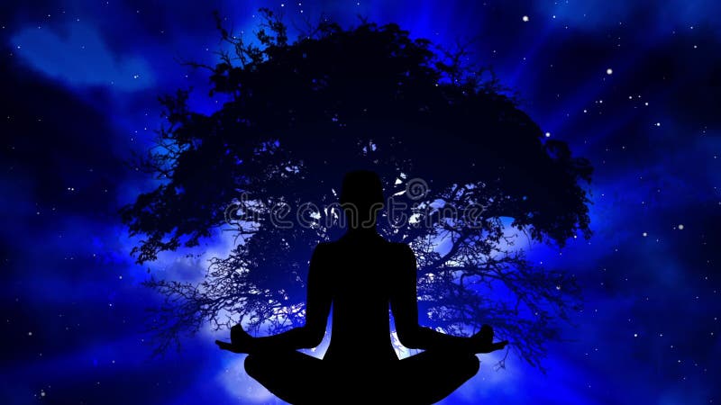 Silhouette of Person Meditating Under a Tree with Light Background ...