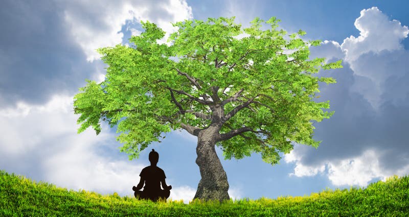 Silhouette of Person Meditating Under the Tree Stock Image - Image of ...