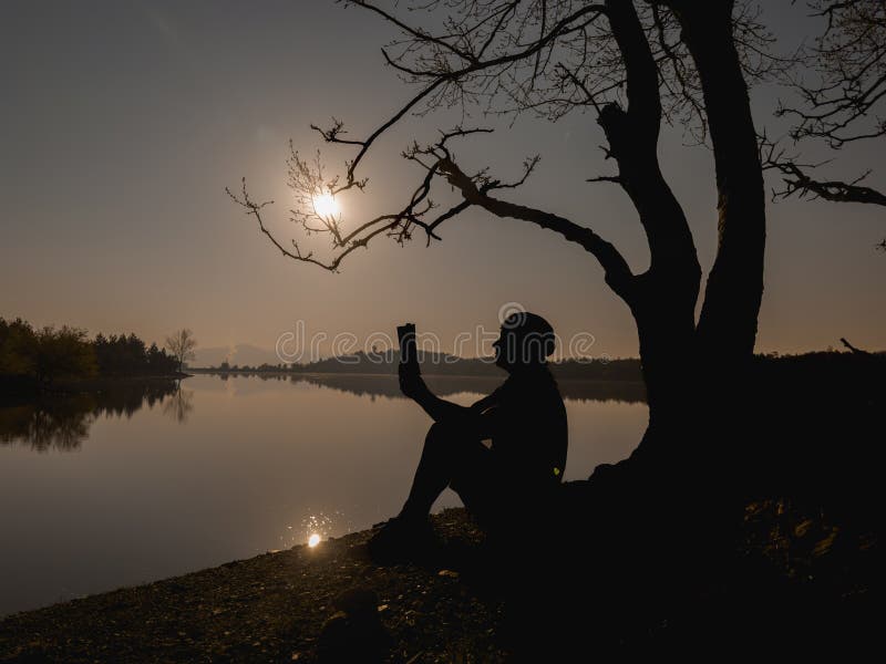 Silhouette of Person Reading Book Under Tree at Sunrise Stock Photo ...