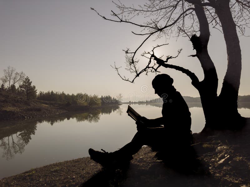 110 Reading Book Under Tree Silhouette Stock Photos - Free & Royalty ...