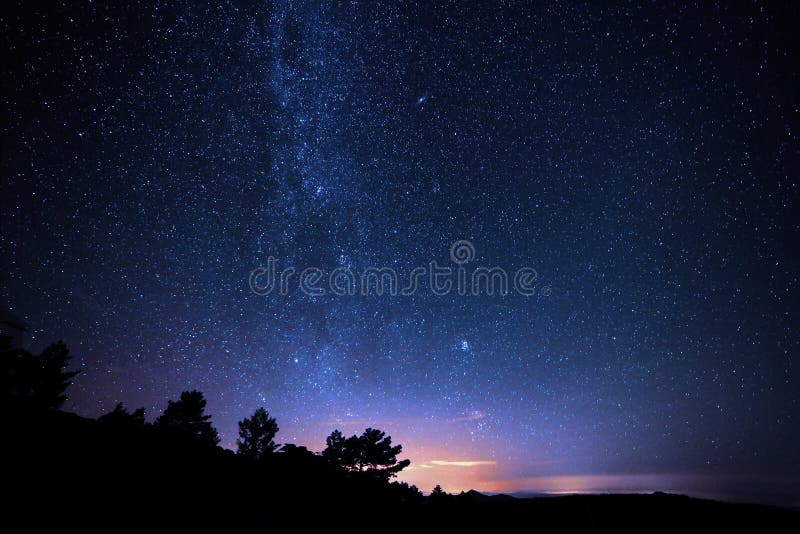Silhouette Photo Of Trees During Night Time Stock Image - Image of ...