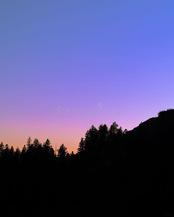 Silhouette of Pine Trees Against a Vibrant Gradient Sunset Sky Over the ...