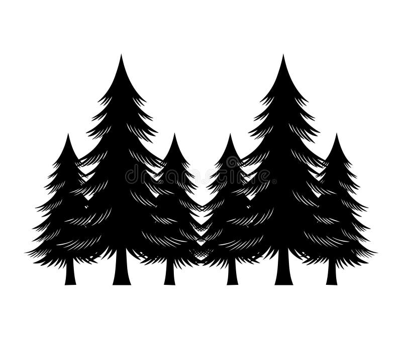 A Silhouette of Pine Trees Forest Isolated on White Stock Vector ...