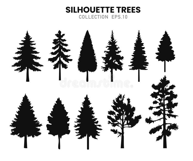 Silhouette Pines Trees Collections.Vector Illustration Stock Vector ...