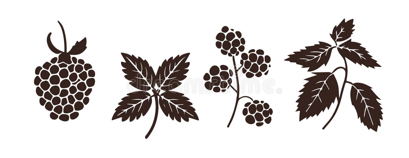 Silhouette Raspberry Stock Illustrations – 2,777 Silhouette Raspberry ...