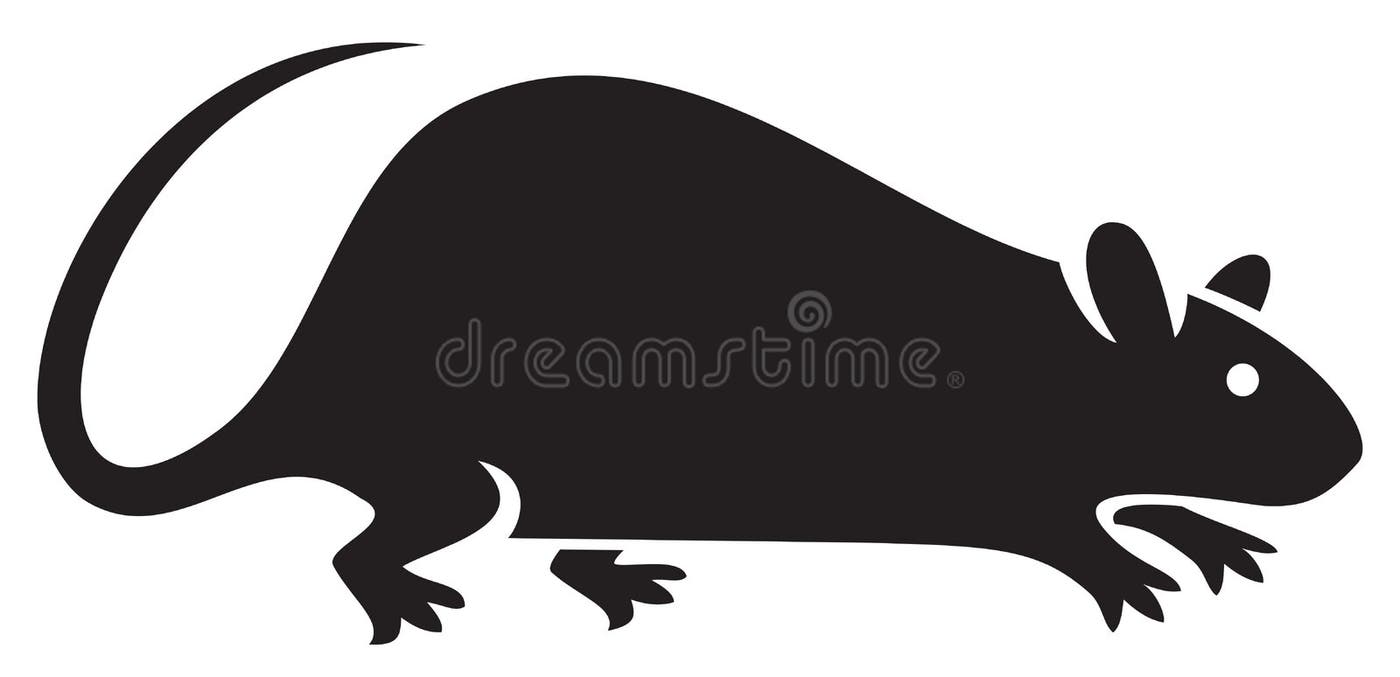 Damage Rat Stock Illustrations – 204 Damage Rat Stock Illustrations ...