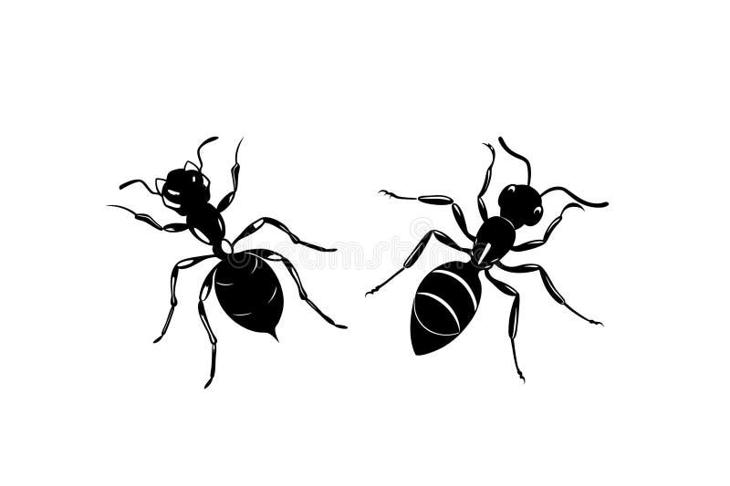 Silhouette Realistic Ant Design, Ant Black Silhouette Vector Set. Stock ...