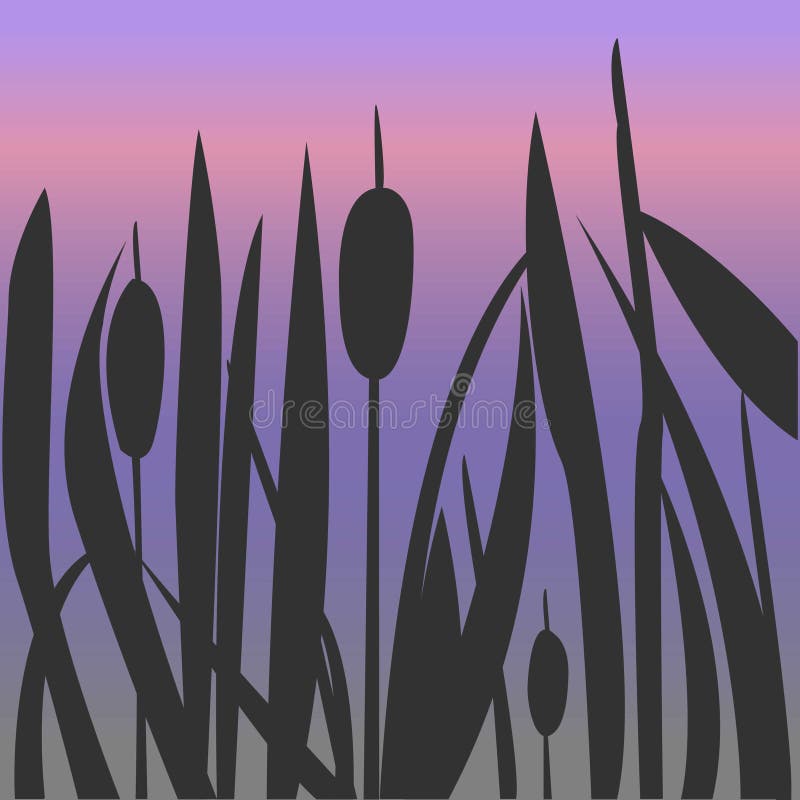 Silhouette of Reed Bush. Vector Illustration Stock Illustration ...