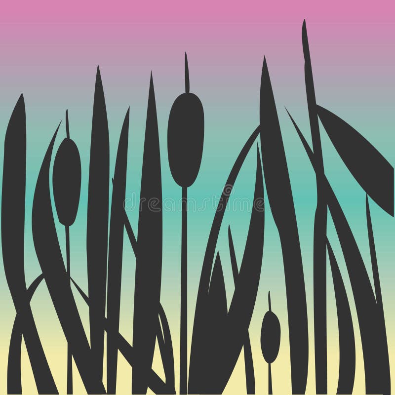 Silhouette of Reed Bush. Vector Illustration Stock Illustration ...