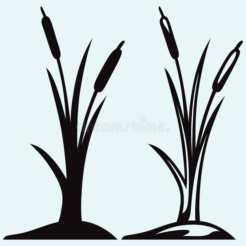 Silhouette reed stock vector. Illustration of painting - 77602301
