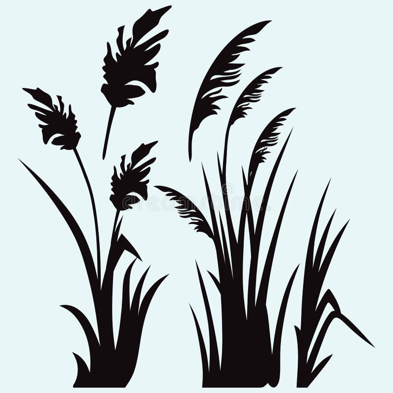 Silhouette reed stock vector. Illustration of painting - 77602301