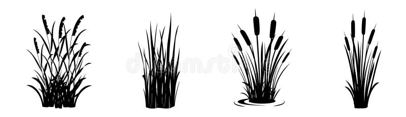 Silhouette of Reeds on a White Background. Set of Swamp Grass Elements ...