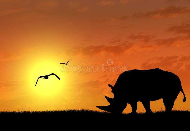 Silhouette of Rhino at Sunset Stock Image - Image of park, africa: 71969477