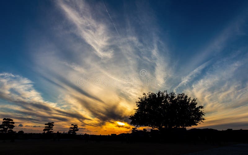 Silhouette Scene of Tree with Dramatic Sky at Sunset Stock Image ...