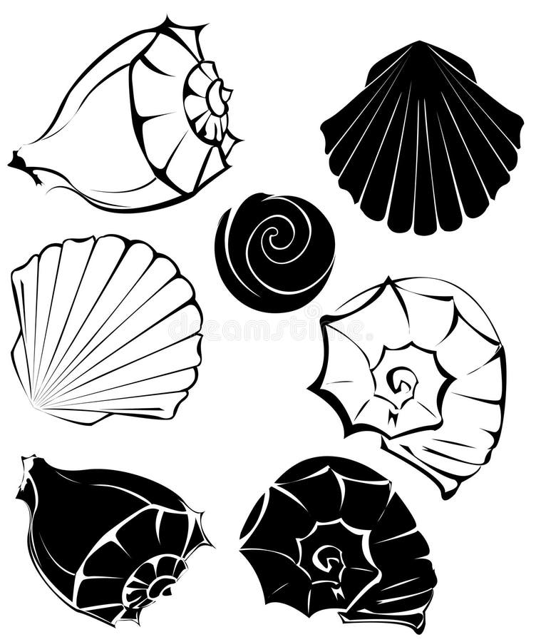 Silhouette of sea shells stock vector. Illustration of concept - 14369690