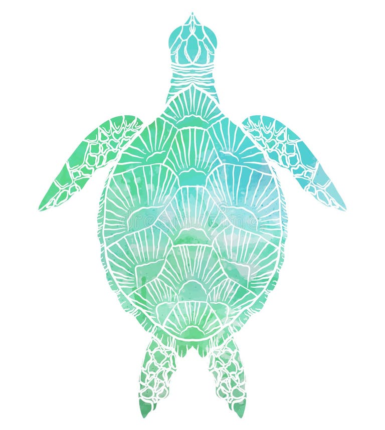Turtle Top View Stock Illustrations – 1,012 Turtle Top View Stock ...